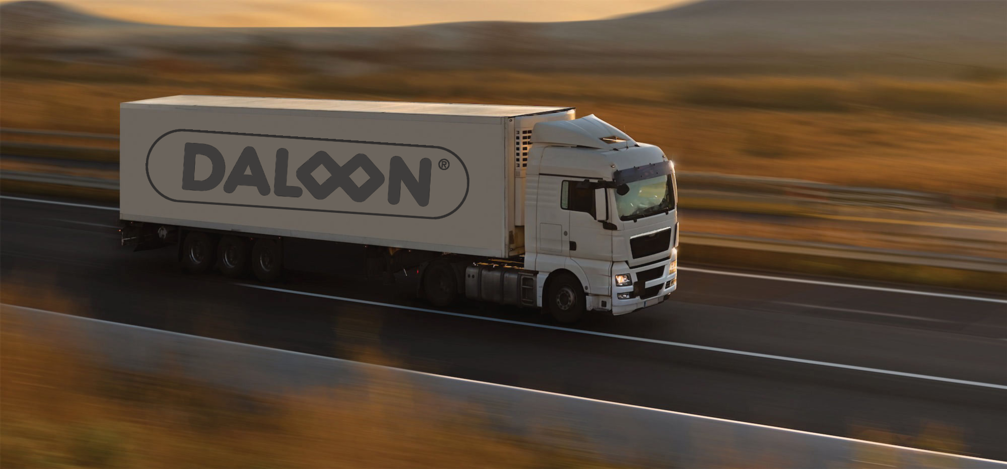 Contact Us – Daloon A/S